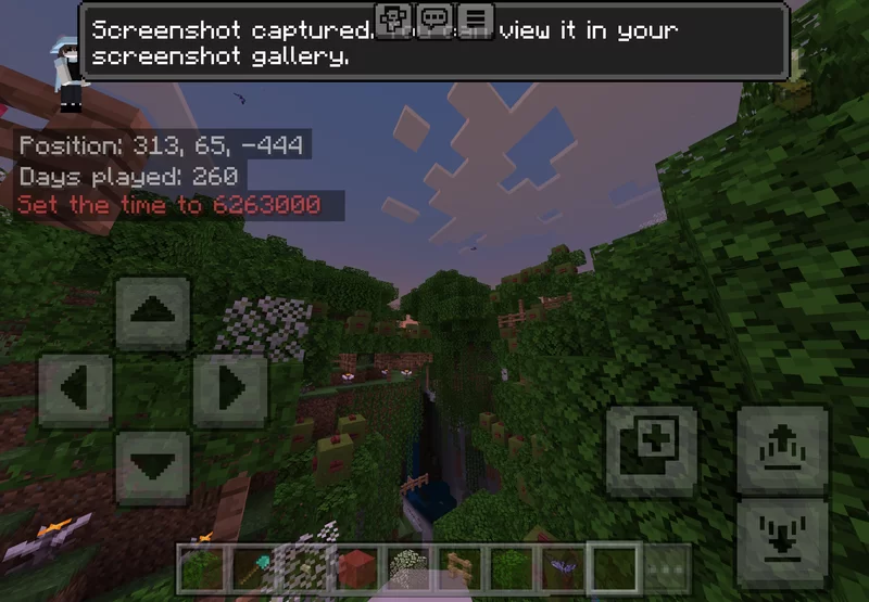 For Luca Minecraft Map