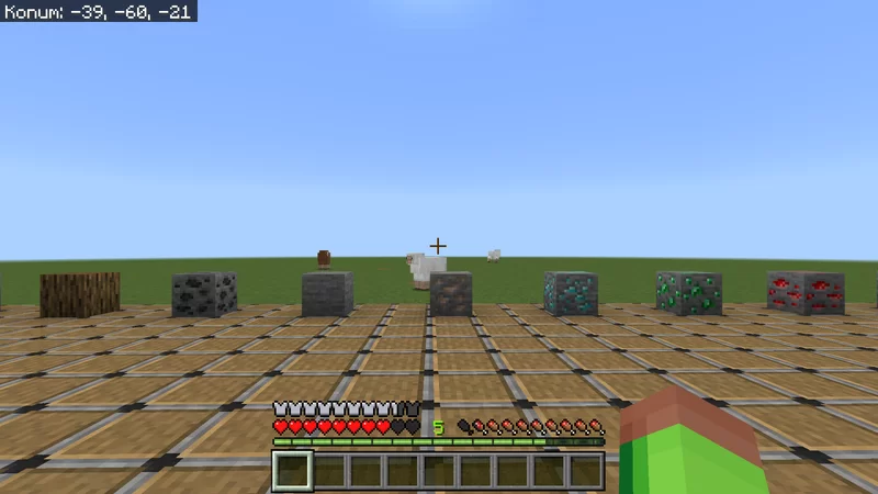 Kaz Geliş Minecraft Map