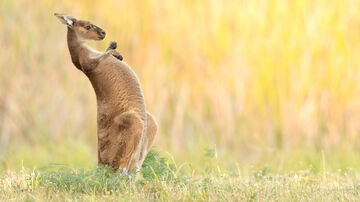 Fwhip Minecraft Maps | Planet Minecraft Community