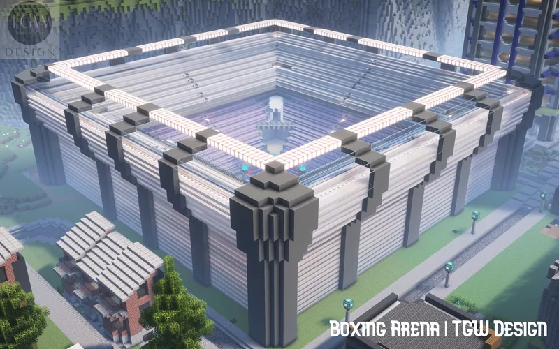 Boxing Arena | TGW Design Minecraft Map