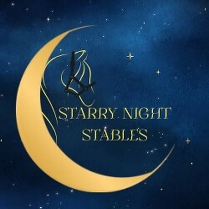 ~ Starry Night Stables ~ [FREE 1.20.1] Minecraft Map