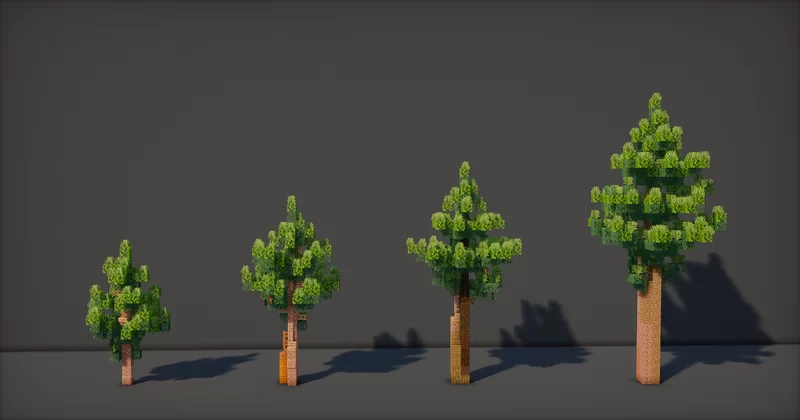 4 sequoia tree Minecraft Map
