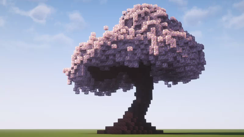 Large Bonsai Trees Minecraft Map
