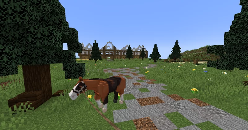 Small swem mapৎ˚₊ ‧₊ Minecraft Map