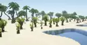 Palm Trees Pack {Axiom-Blueprints} {Schematic} {Map} Minecraft Map