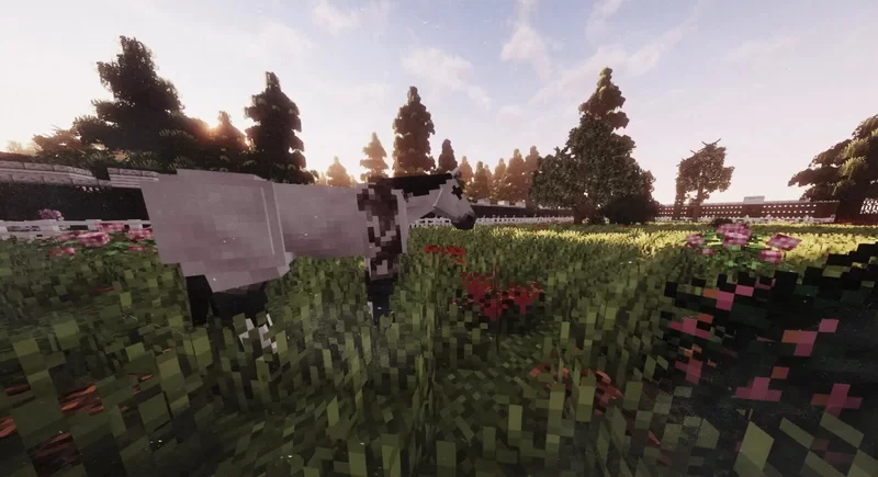 Misty Meadow Ranch Minecraft Map