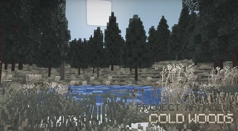 Cold Woods - P:A MAP Biome Minecraft Map