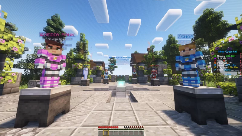 Cr8cked DonutSMP - Mine Crystal Network Spawn Minecraft Map