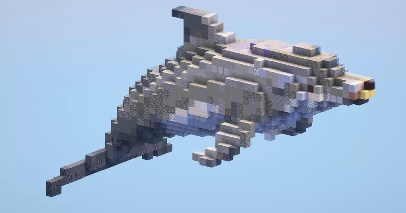 dolphin small Minecraft Map