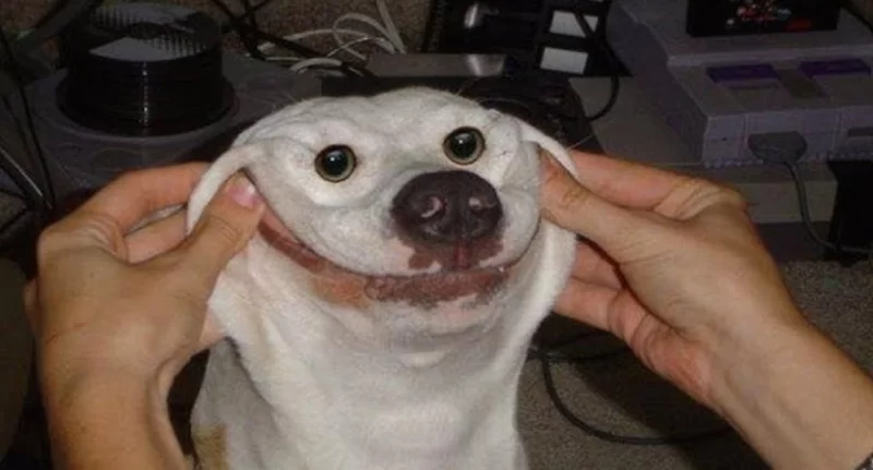 Farlands Minecraft Map