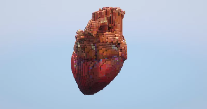 Human heart Minecraft Map