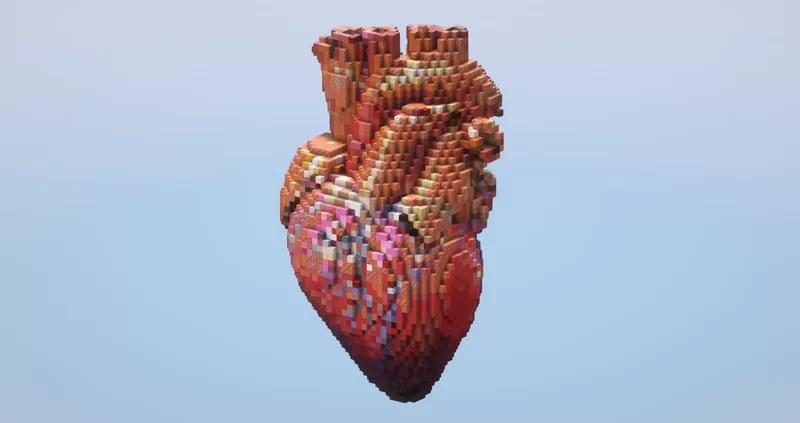 Human heart Minecraft Map