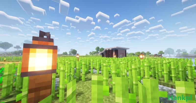 Oliver's Minecraft Server (Archived World) Minecraft Map