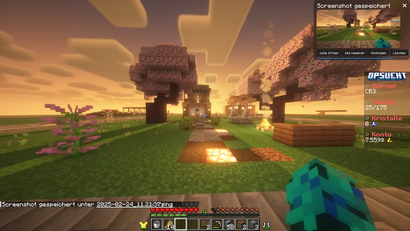 Cherry Blossom Dream Litematic Minecraft Map