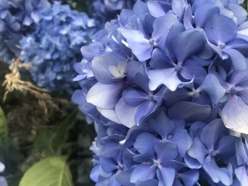 E+S lovely world rae Minecraft Map