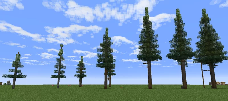 Spruce Trees Minecraft Map