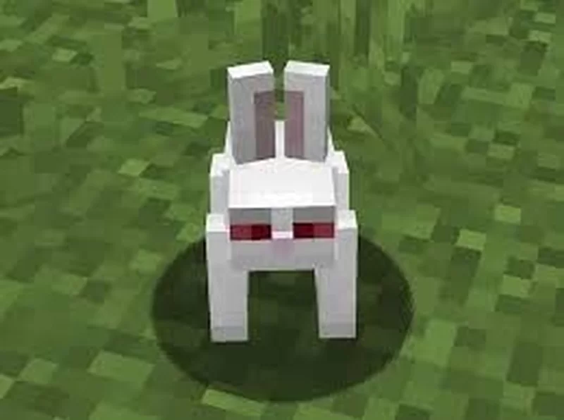 Killer rabbit Minecraft Map