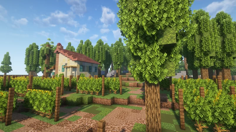 Big Vineyard Minecraft Map