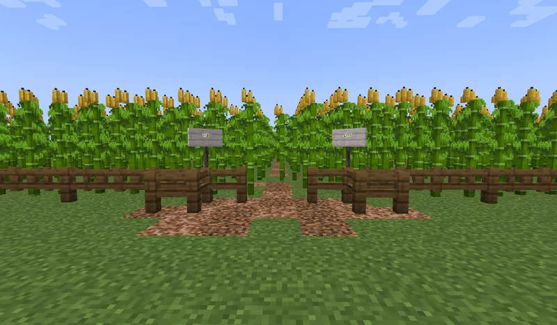Corn Maze Minecraft Map