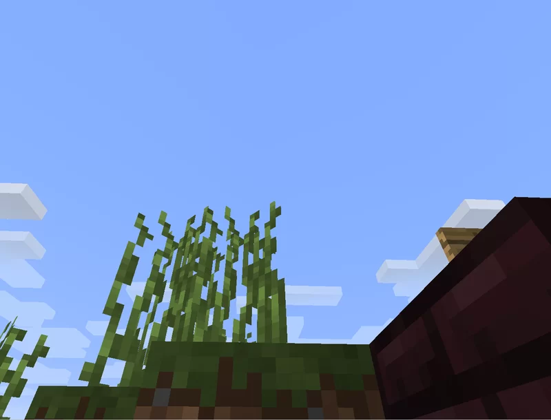 my favourite map Minecraft Map