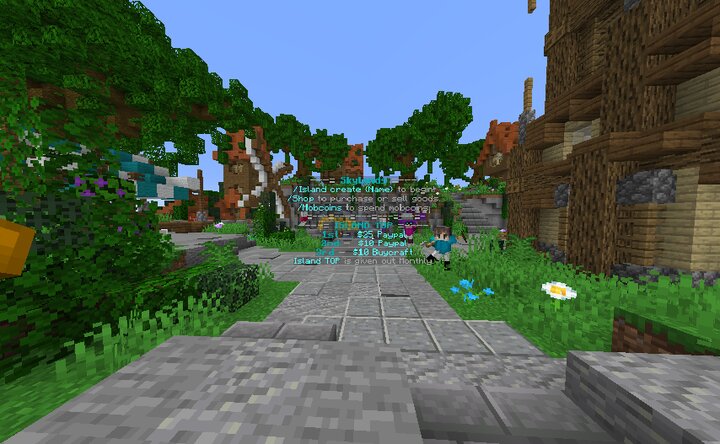 Skylands [ $25 IS TOP ] Minecraft Server