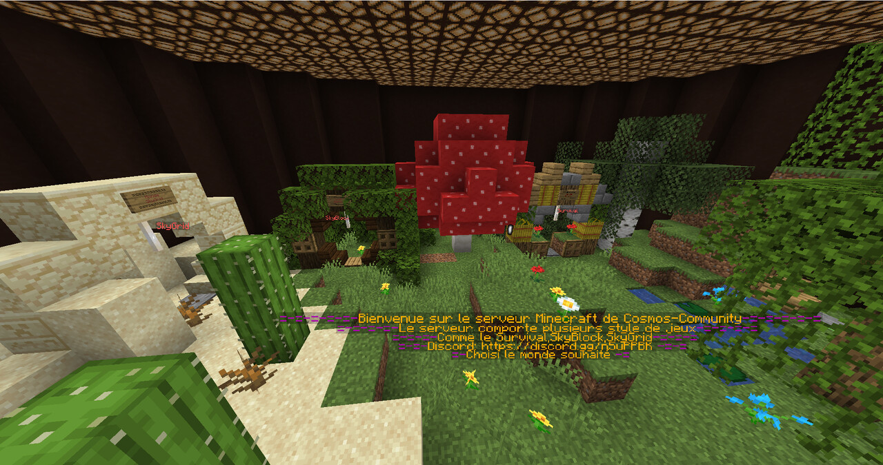 Minecraft Cosmos-Community Minecraft Server