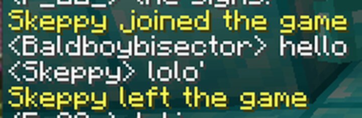 Skeppy Landsss Minecraft Server