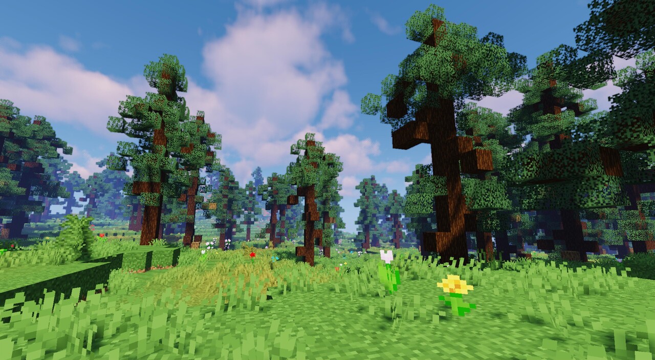 Vexel Games - Community-Driven Gaming Experience Minecraft Server