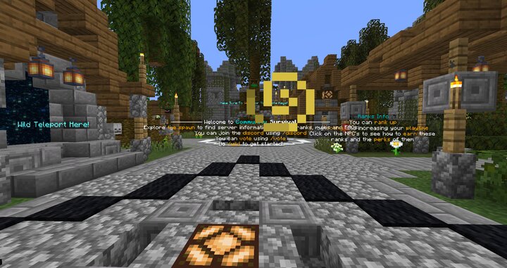 Community Survival Minecraft Server