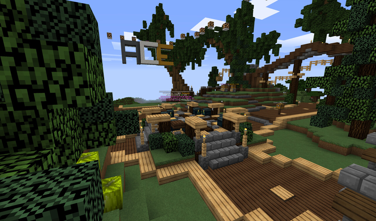 The ACE Network! Minecraft Server
