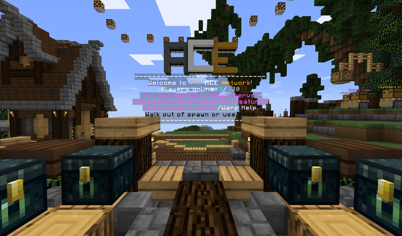 The ACE Network! Minecraft Server