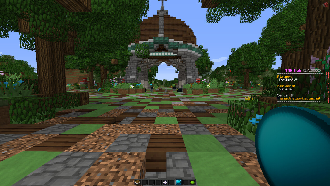 The Next Network (New survival/kitpvp server) Minecraft Server