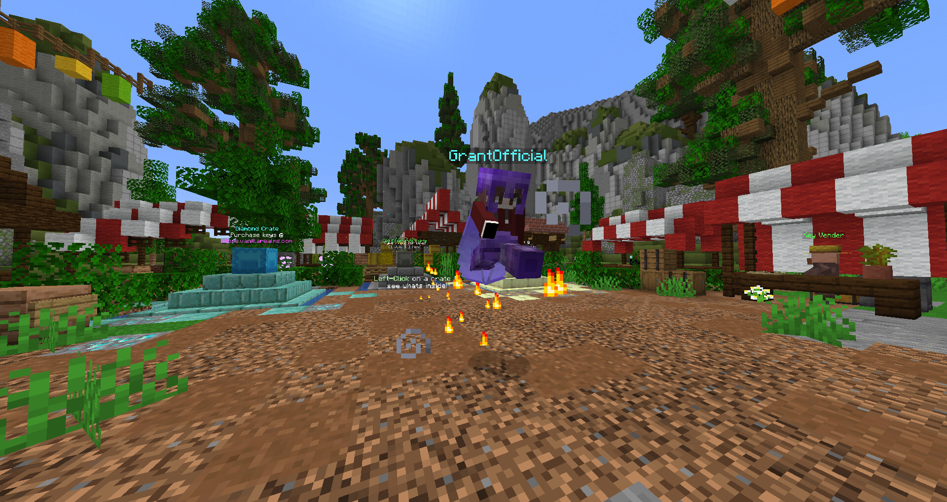 Vanilla Realms | 1.17.1 Survival Minecraft Server