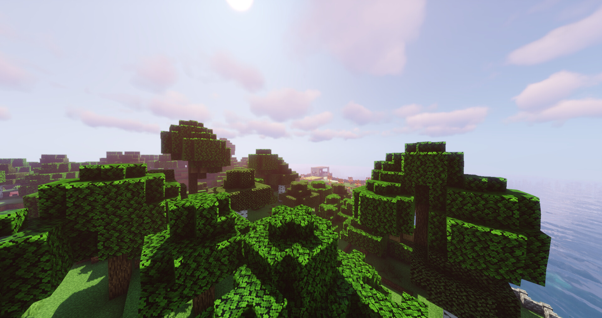 Chill Smp (1.16.5) Minecraft Server