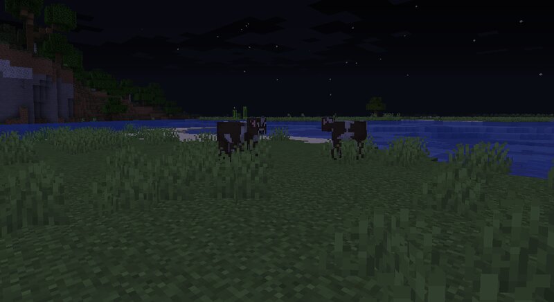 Flow SMP Minecraft Server