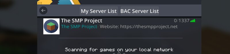 The SMP Project Minecraft Server