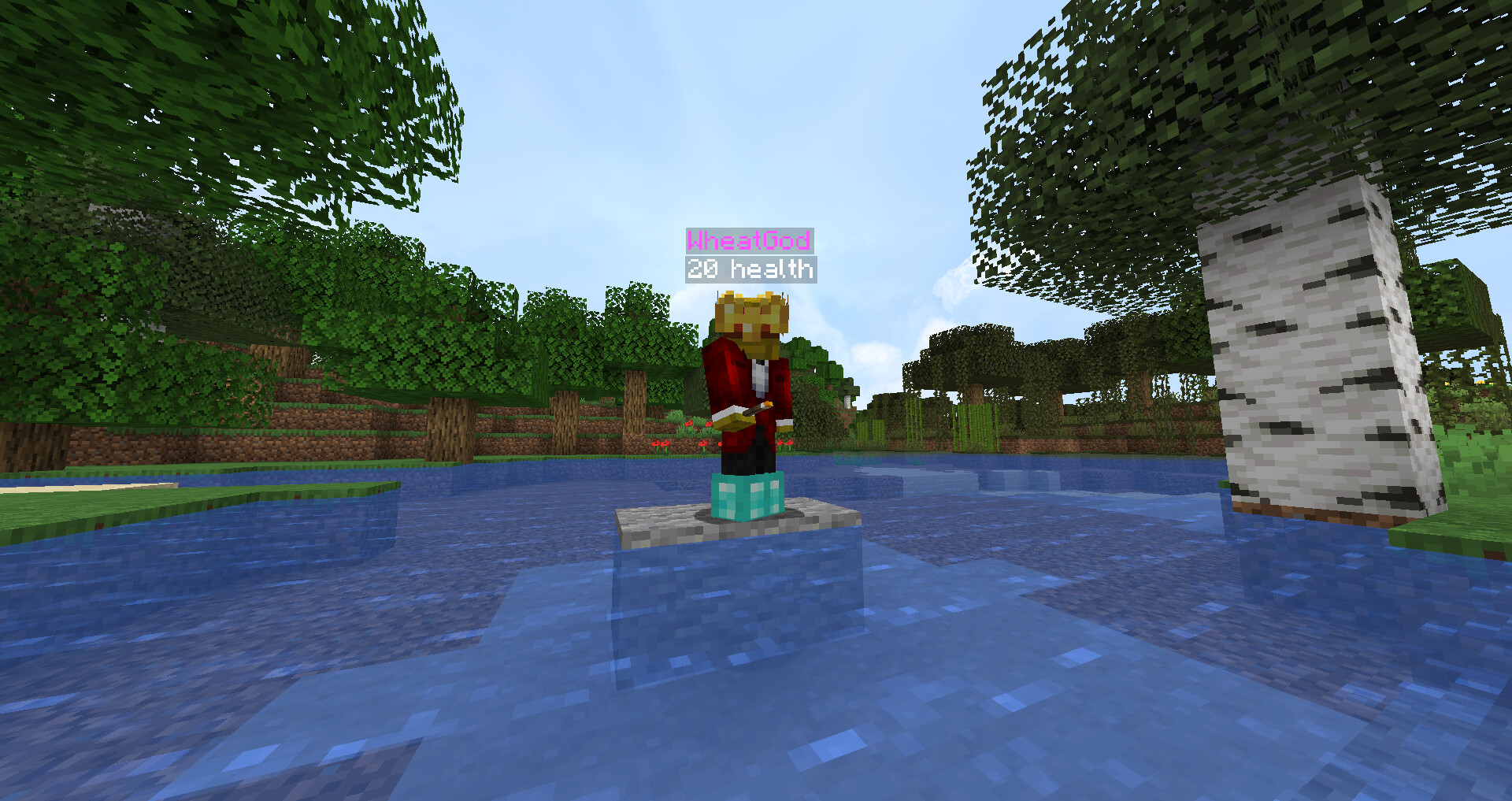 The Realm SMP Minecraft Server