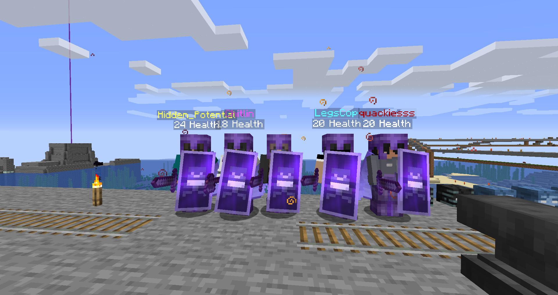 The Realm SMP Minecraft Server