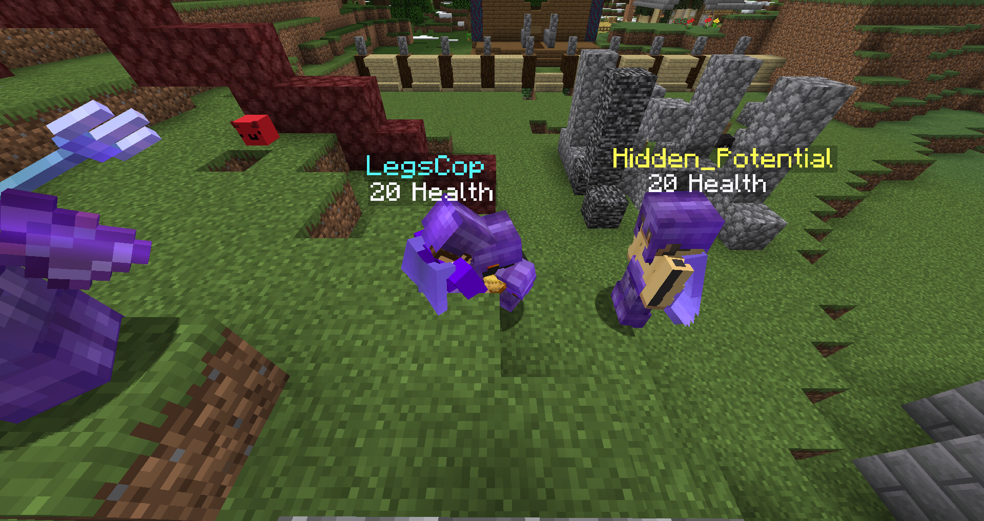 The Realm SMP Minecraft Server