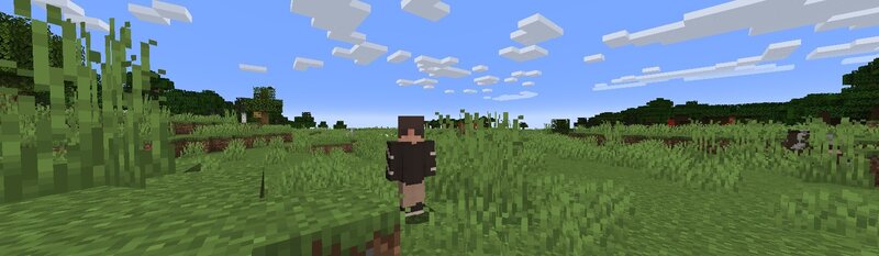 spinholol origin smp Minecraft Server