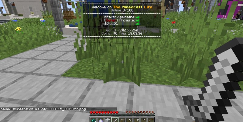 The Minecraft Life Minecraft Server