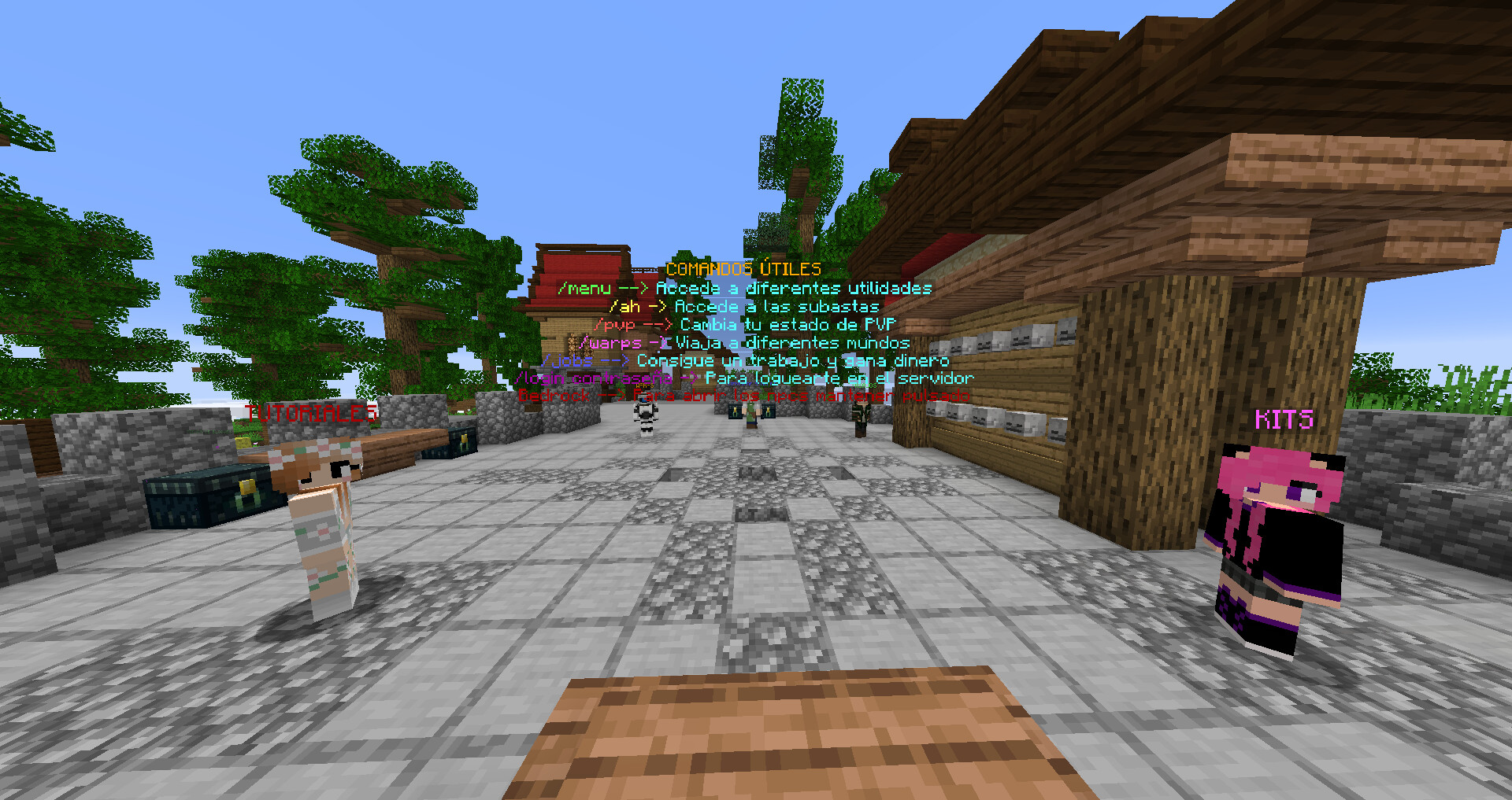 BORDERCRAFT Minecraft Server