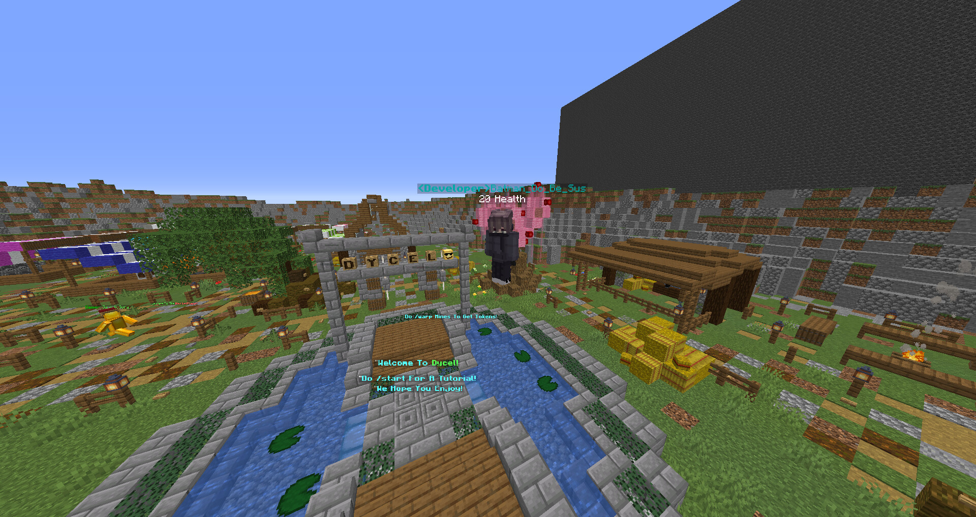 Dycel Minecraft Server