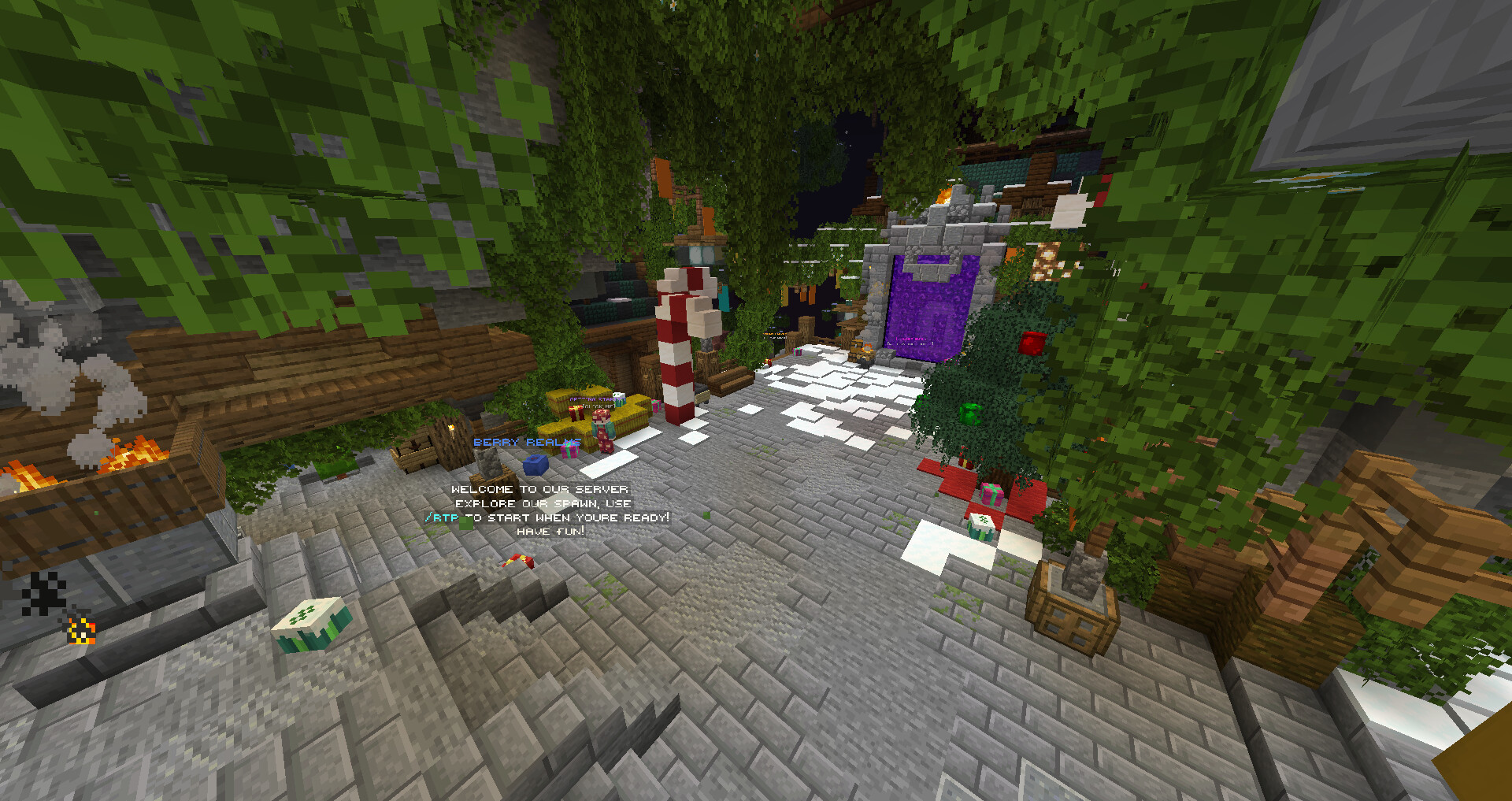 Berry Realms Survival [1.18] Minecraft Server