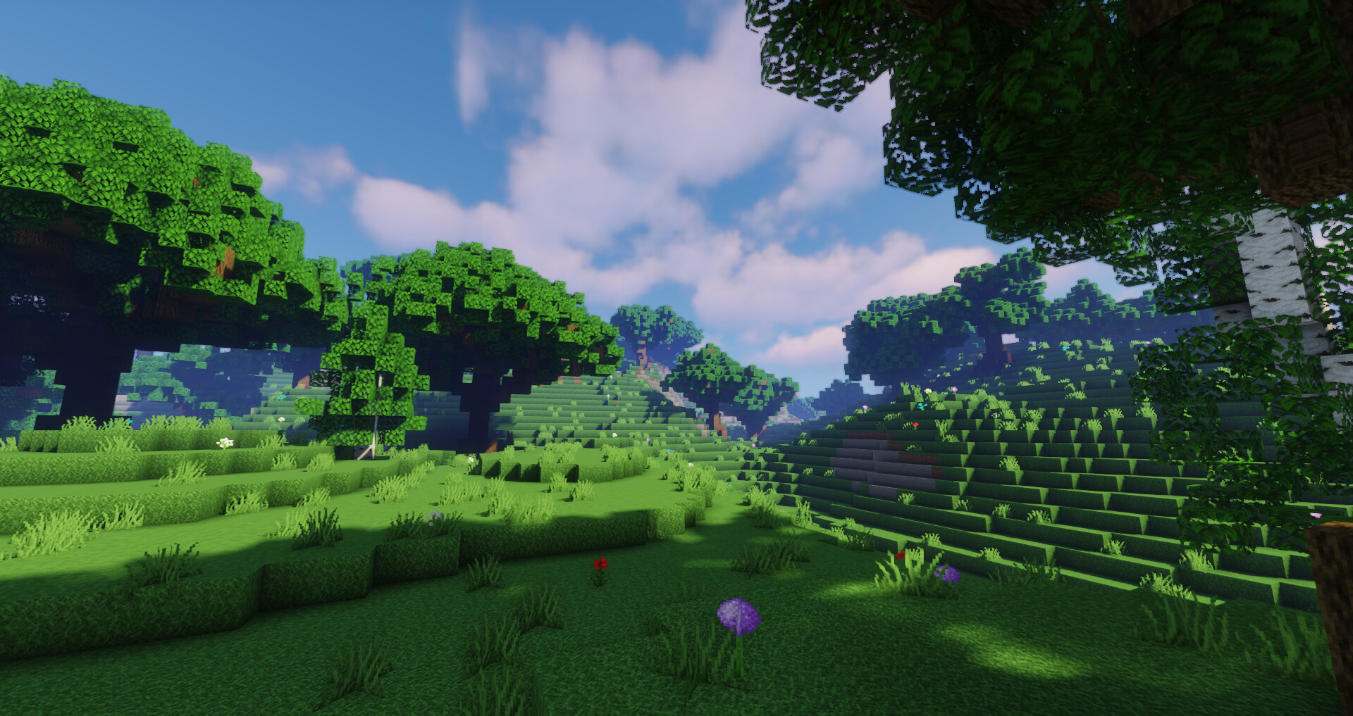 RealmRP - Medieval-fantasy Roleplaying Server Minecraft Server