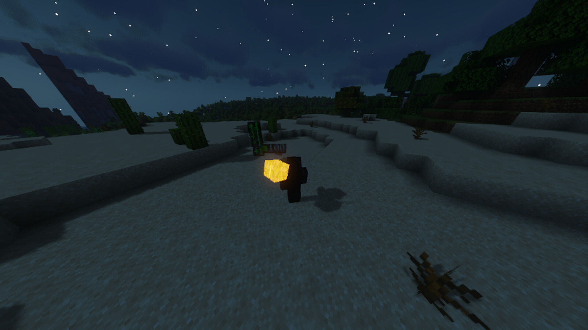 Assassins Smp Minecraft Server