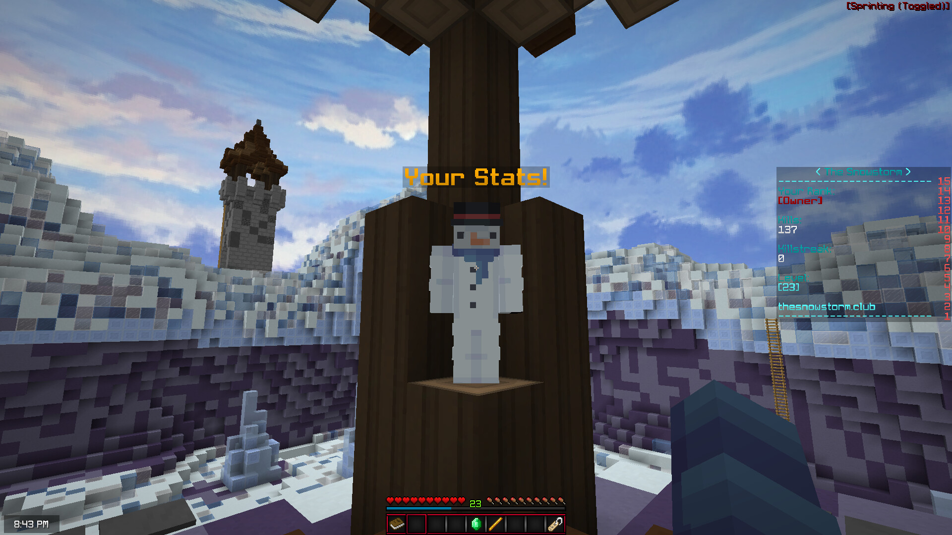 The Snowstorm Minecraft Server