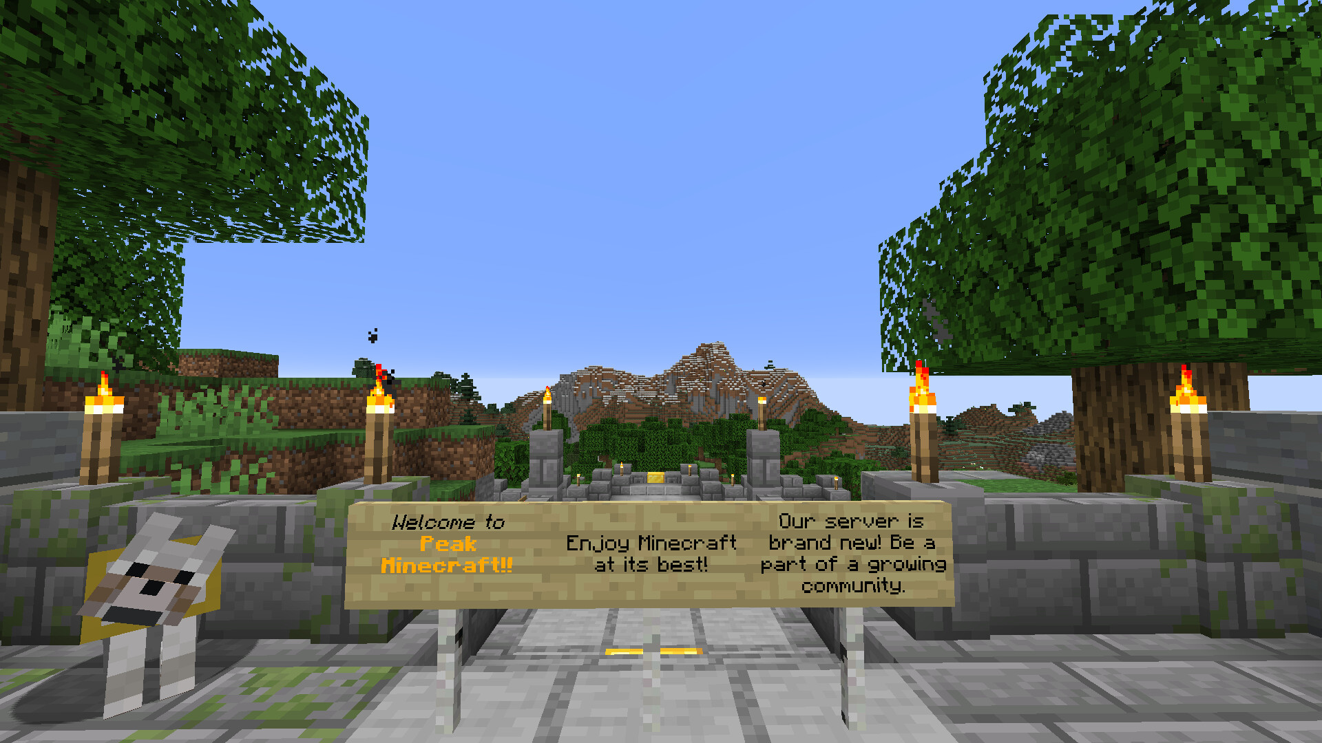 PEAK MINECRAFT - peakminecraft.com - You'll feel like you're back in ...