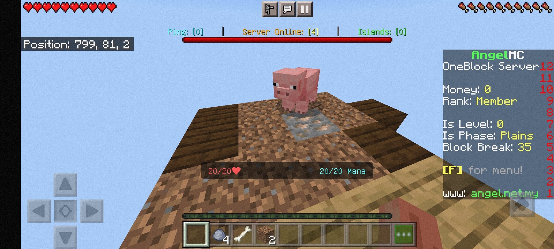 AngelMC - One Block Skyblock Server Minecraft Server