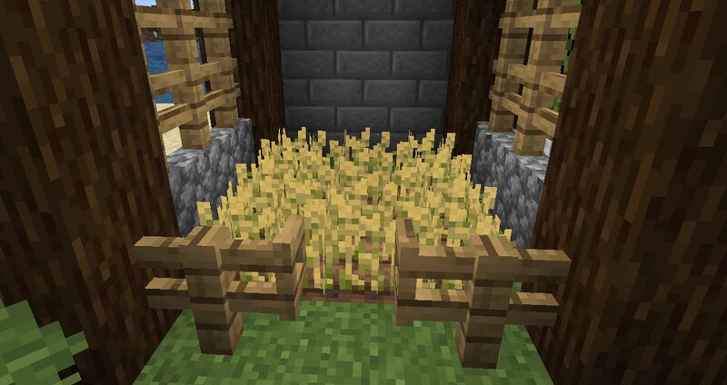 Nitrado Tutorials Minecraft Server